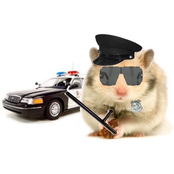 Stop, Collaborate and Listen: Collaboration, Improvisation and ...