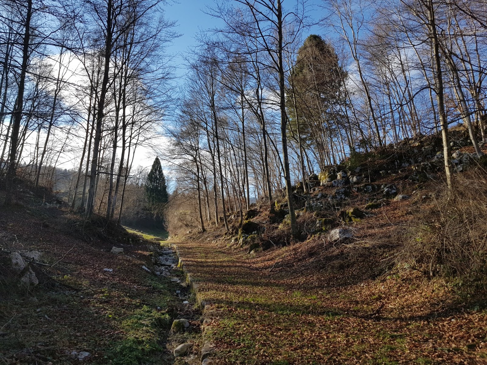 Su strade e sentieri: COL D'ASTIAGO (m. 1.241) - SENTIERO DEL VU - Val ...