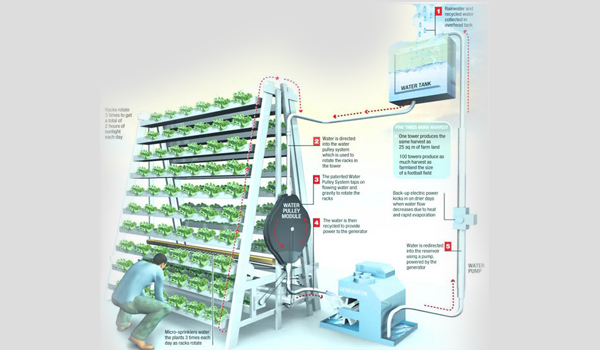 Tekhnologi A-Go-Gro Mampu Penuhi Kebutuhan Sayur Singapura
