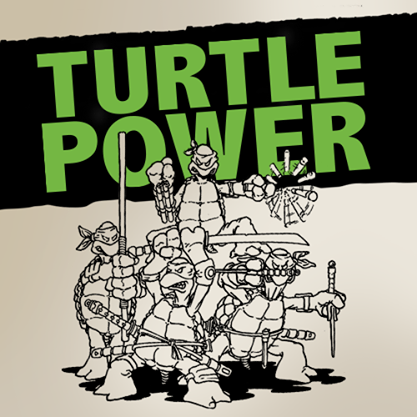 From The Depths Of DVD Hell: Turtle Power: The Definitive History of ...