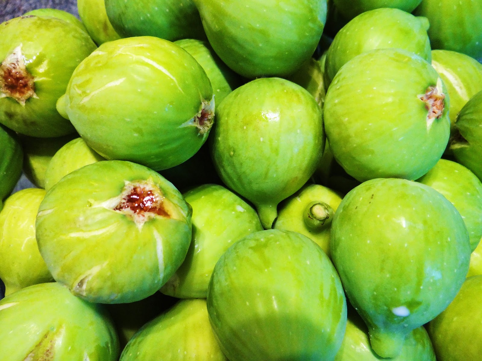 Brev från Servian: färska fikon...