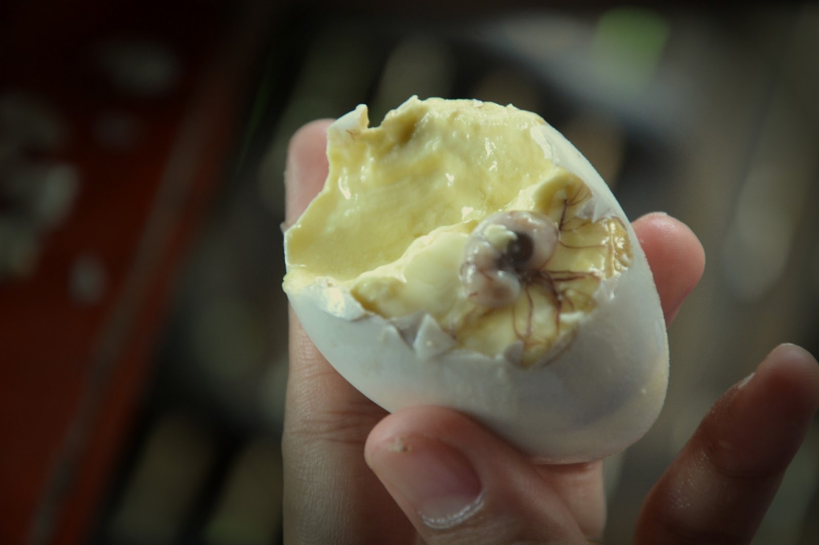 Food Trip: Balot