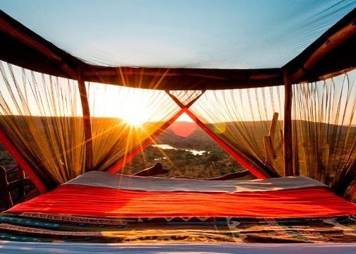 Coolest Tree House Hotel in the deep Africa | Vacation Deals