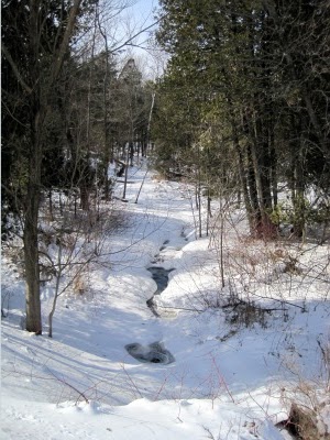 Gardens at Waters East: The WATERSHED - Facts & Photos