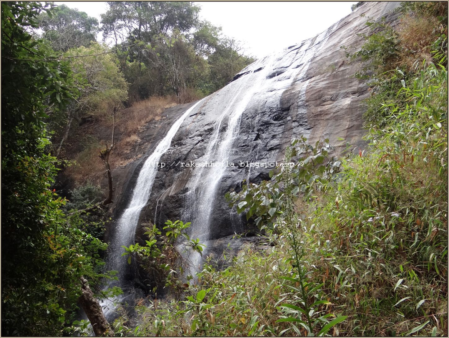 The Voice of Greenery - Trekking and Travelling in Western Ghats ...