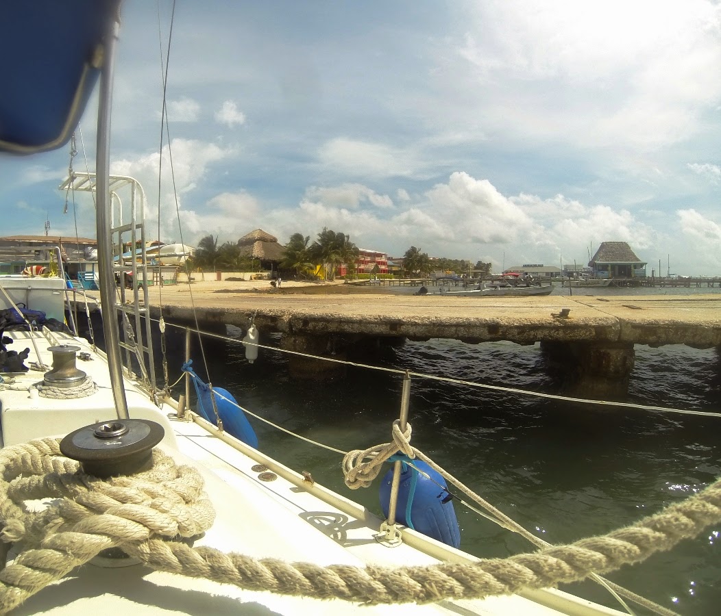 Mercer University's Coral Reef Ecology