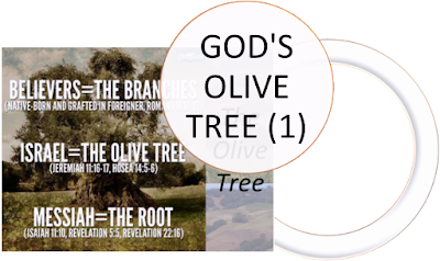 THE REVELATION OF JESUS CHRIST: GOD’S OLIVE TREE (1)