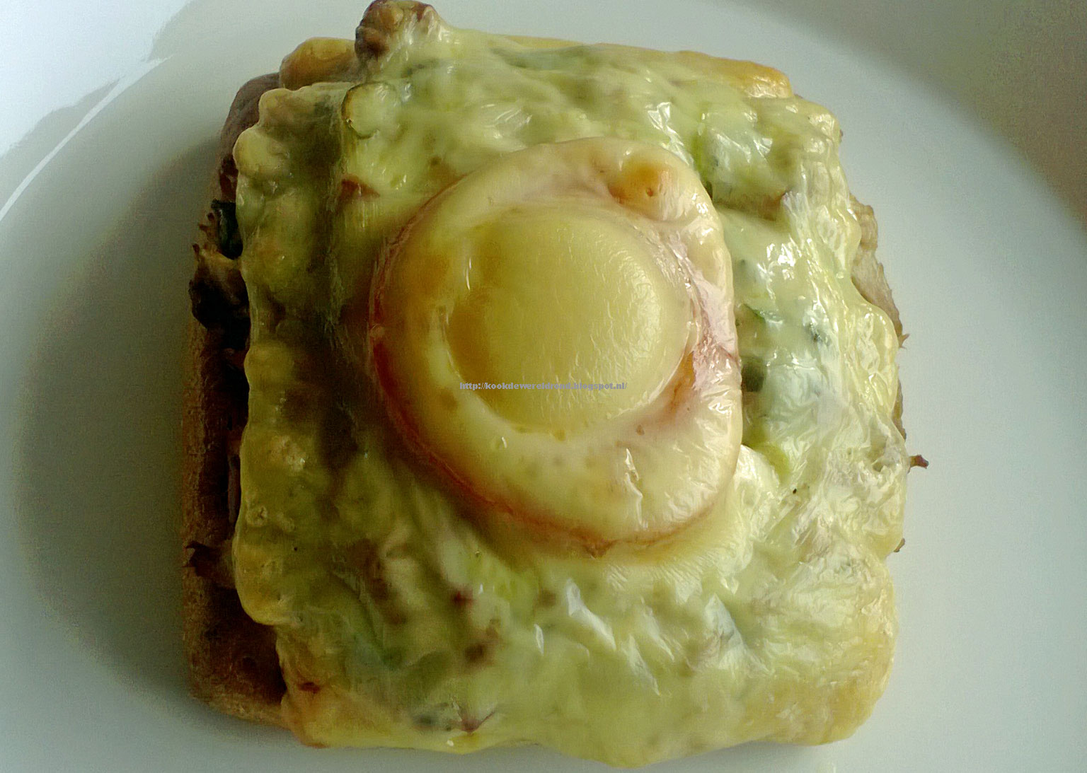 Kook de wereld rond!: Glutenvrije tuna melt broodjes