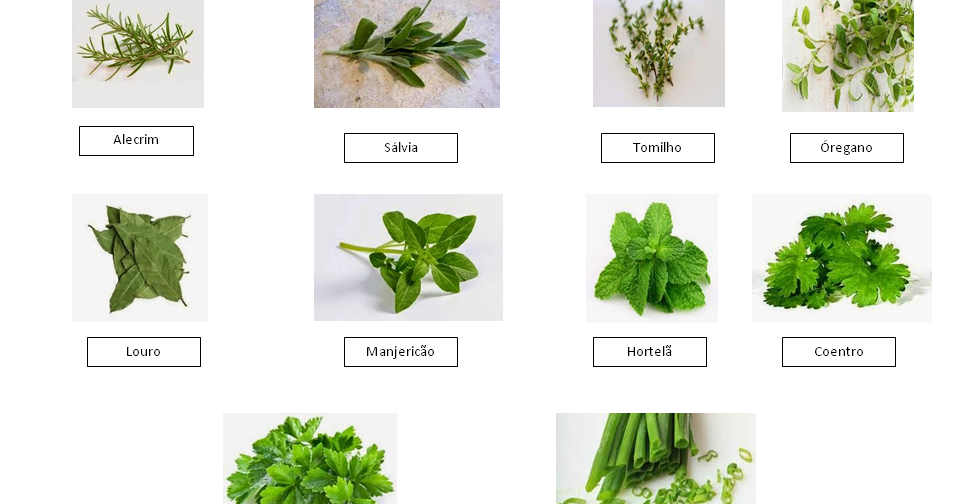 Prática Vida: Conhecendo os Temperos Frescos