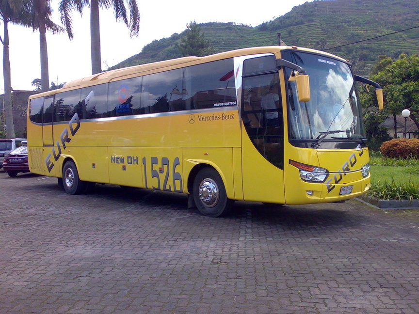 Jenis dan Tipe Bus Indonesia | Firman Koga