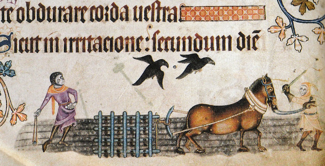 Imparare con la Storia: 22 Il Basso Medioevo: la rinascita delle campagne