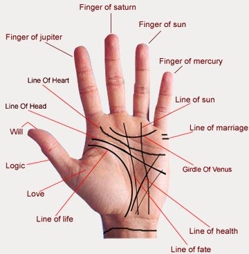 Palmistry Marriage Line, Marriage Line - Palmistry Lines