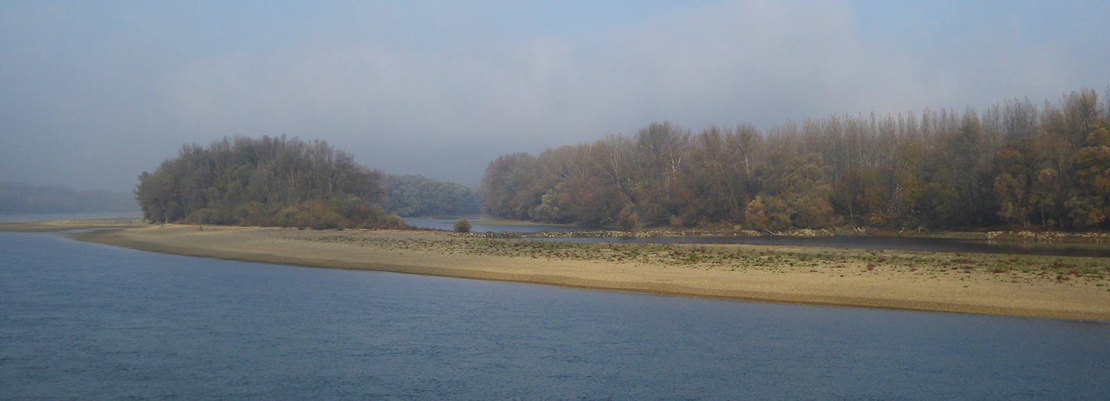 Natuurnotities Monique Smulders: Natuurlijk ooibos