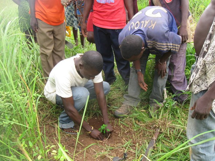 Points to Ponder :-:: Agroforestry Project Helping Improve Life in Ghana