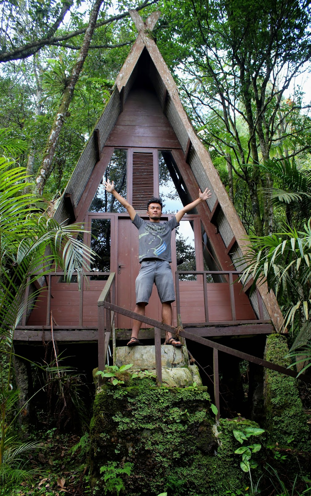 Gaya Terbaru 36+ Rumah Hutan