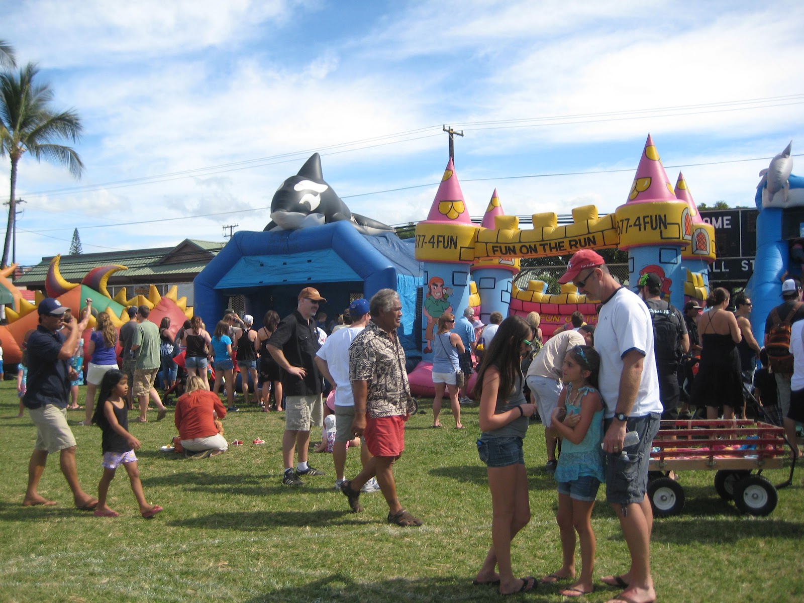 Maui Vacation Guide: World Whale Day in Kalama Park Kihei Maui