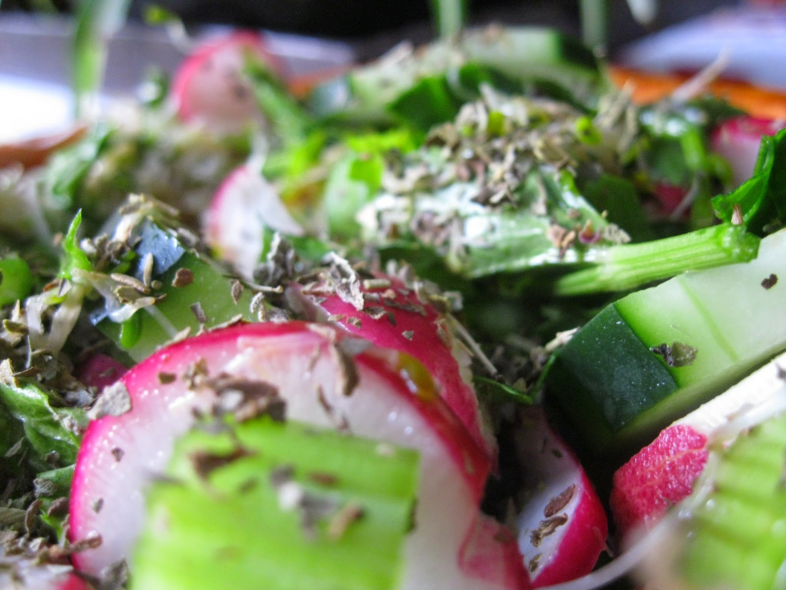 La Oveja Verde Feliz: Ensalada de rábano y apio