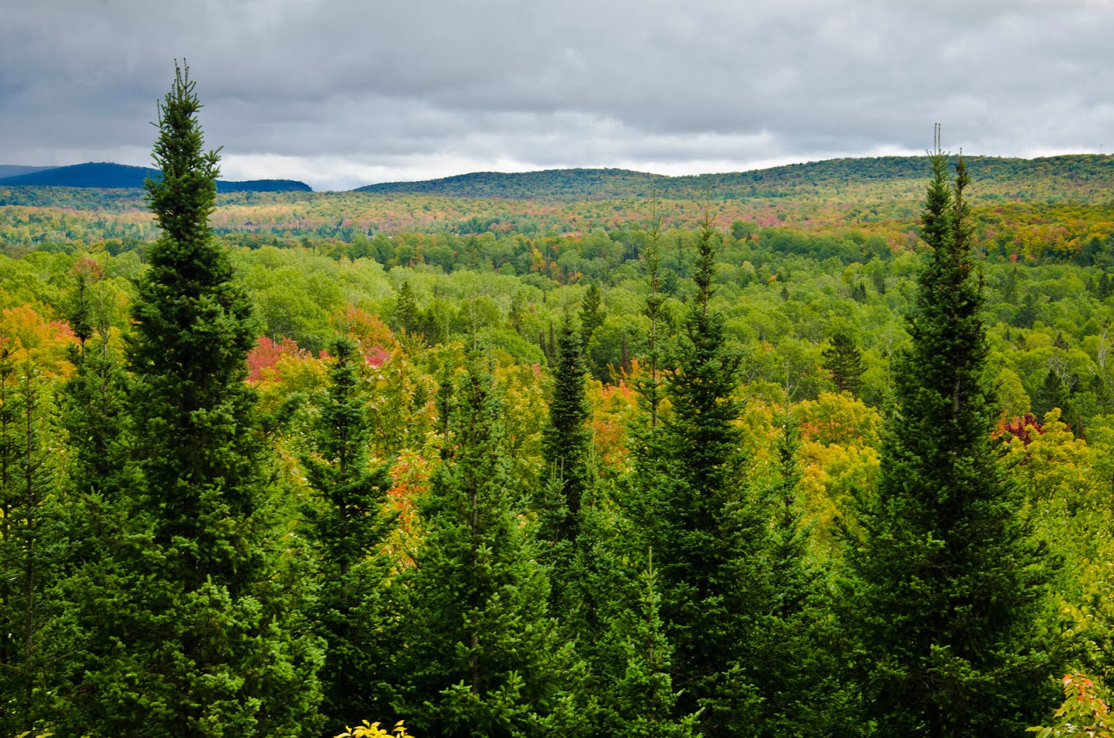 Stewards of the Northwoods: Wisconsin Master Naturalist Program ...