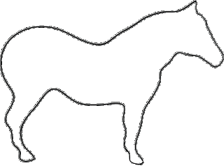 Art for Young Children: Zebra Stripe Drawing Project