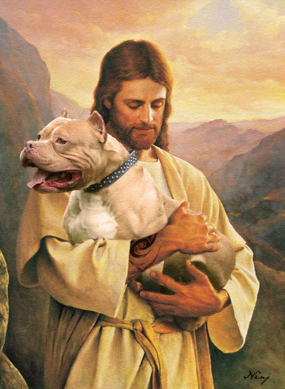 I Am The Jesus - Inspiring Jesus Quotes from the known & forgotten ...