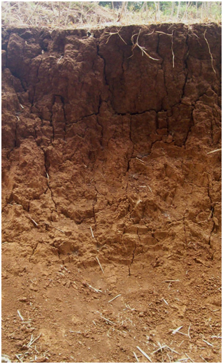 sugeng: SDA Tanah (1)