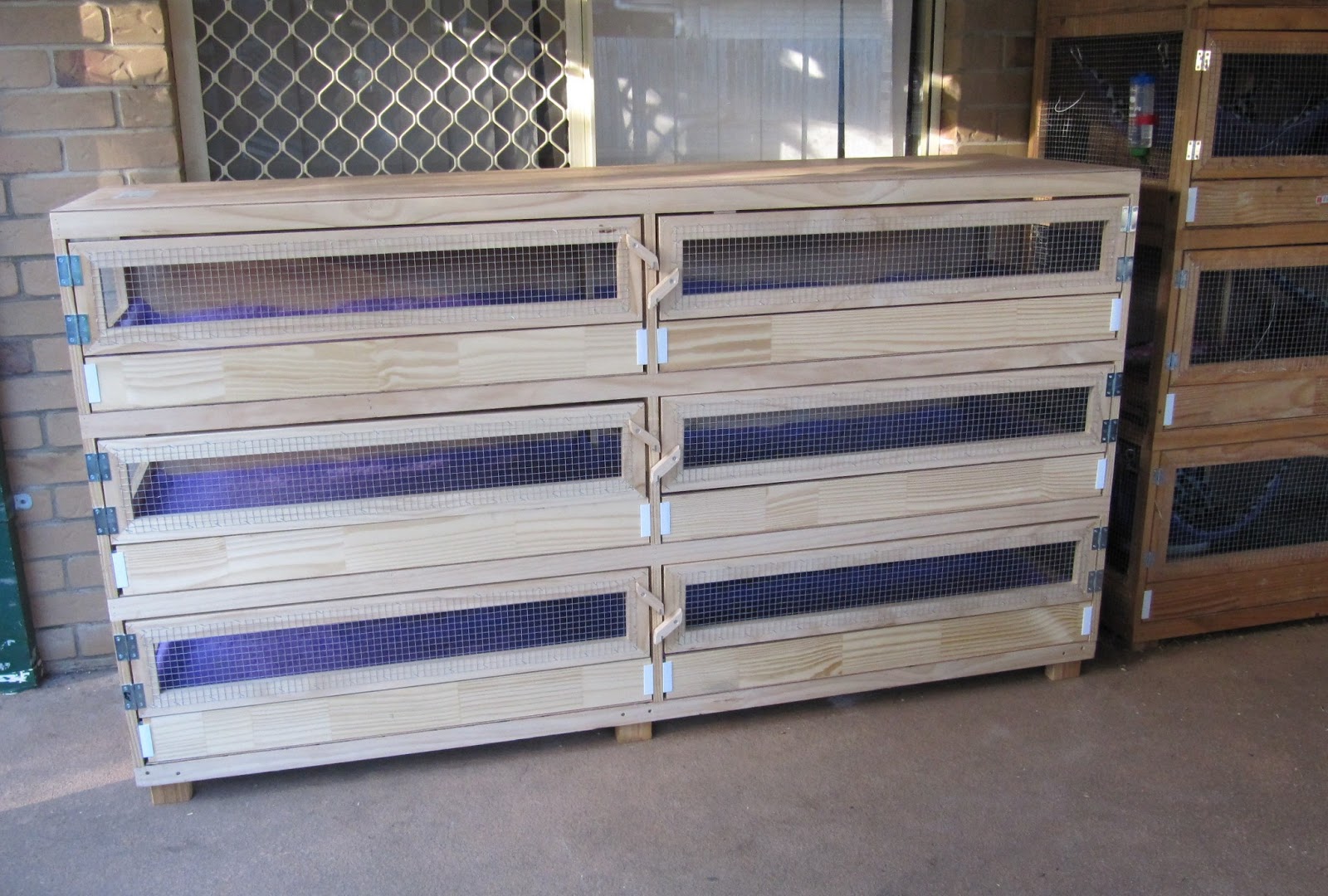 All Things Guinea Pig: Caviary Setup