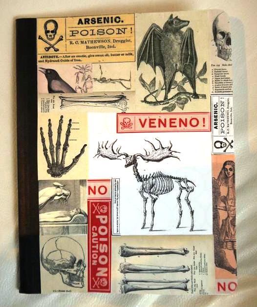 Library Arts: Poison Pen Journal