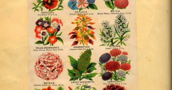 page 44 -- lithographic printing process, Lydia E. Pinkham's Vegetable ...