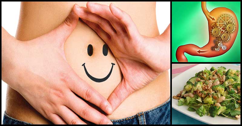 Foods That Help Boost Digestive Health | Dr Farrah MD