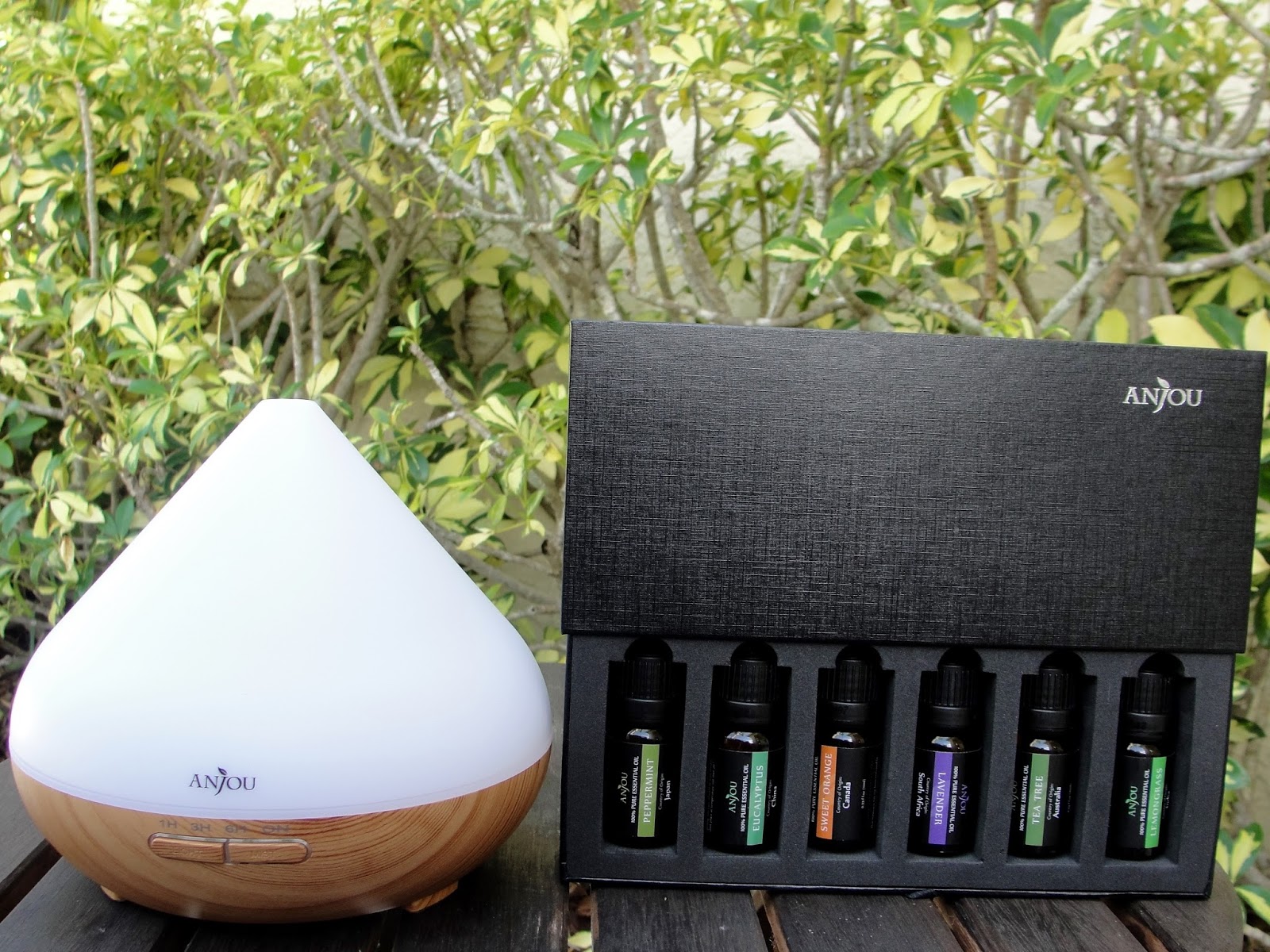 Anjou Aromatherapy Diffuser & Essential Oils Set
