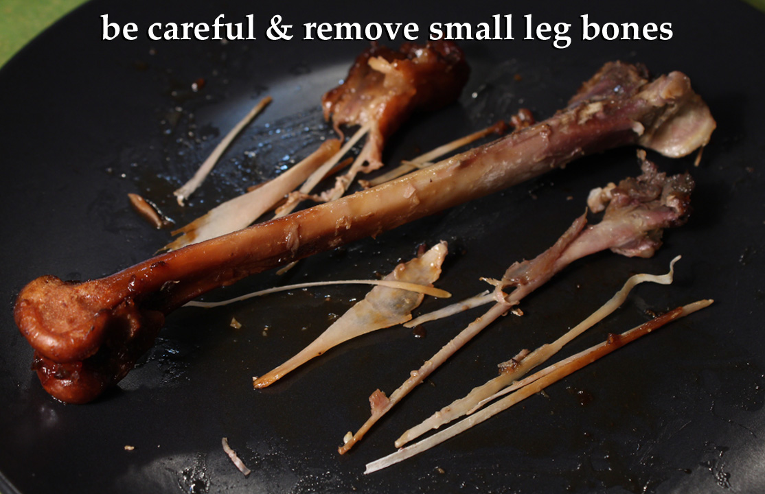Can You Give A Dog A Turkey Leg Bone