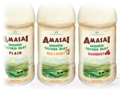 KEFIR - Alimento Probiótico : Amasi