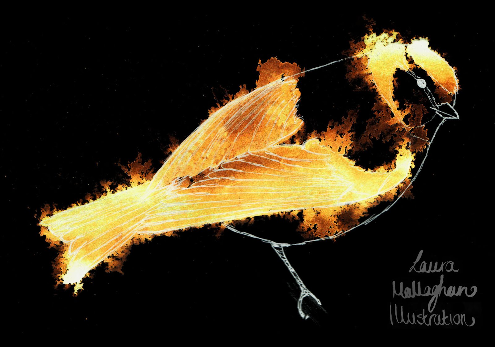 This Bird is on FIRE | Illustration