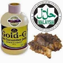 Pengobatan Pembesaran Limpa | Mickey Herbal