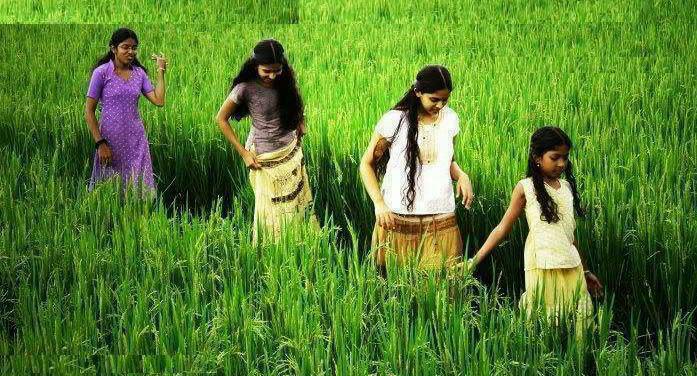 VIDEOBHARATHI: VAYAL KILIKAL