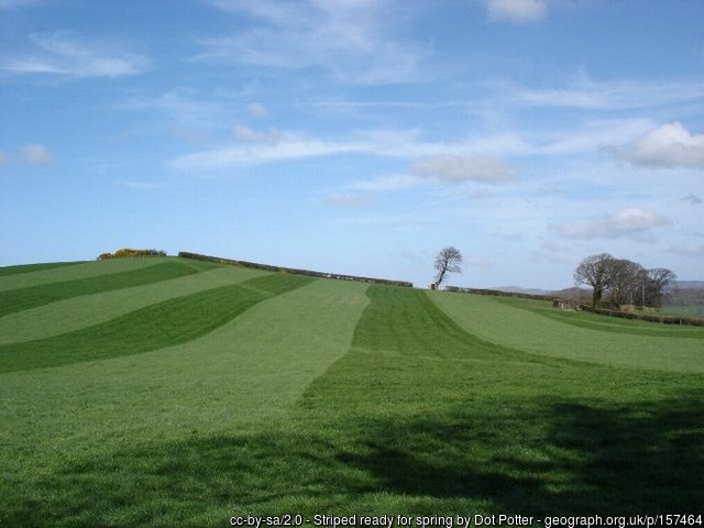 Golf Course Striping: Do Those Stripes in the Grass Matter?