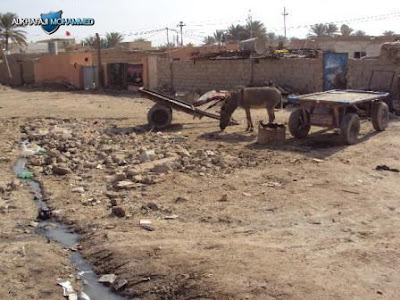 BAGHDAD: فقراء العراق Poor People Of Iraq