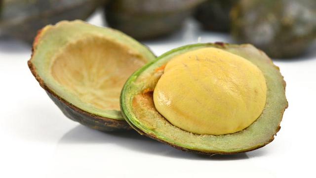 12 Manfaat Jengkol untuk Kesehatan - Biologizone