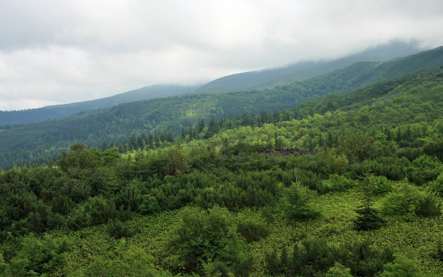 Isshin - Concentration the Art: Okinawa as I would like to experience it