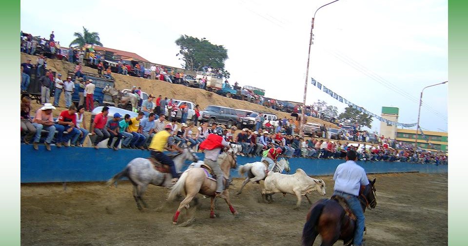 Toros coleados en Nirgua este 27 y 28 de enero - Resteado 965fm