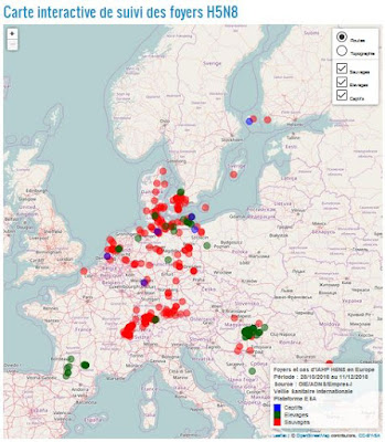 Avian Flu Diary: ESA: Epidemiological Update On H5N8 In Europe