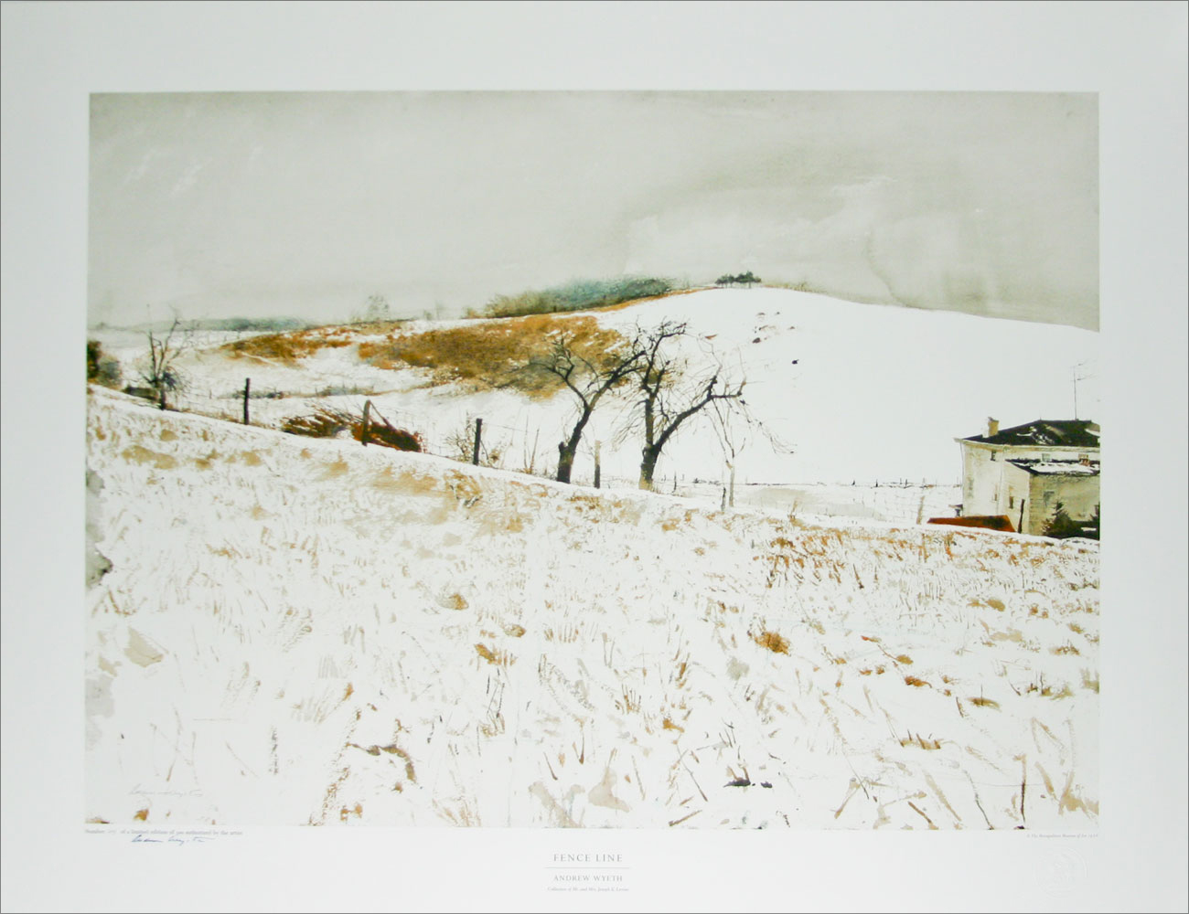 Richard A Jacobson: Andrew Wyeth
