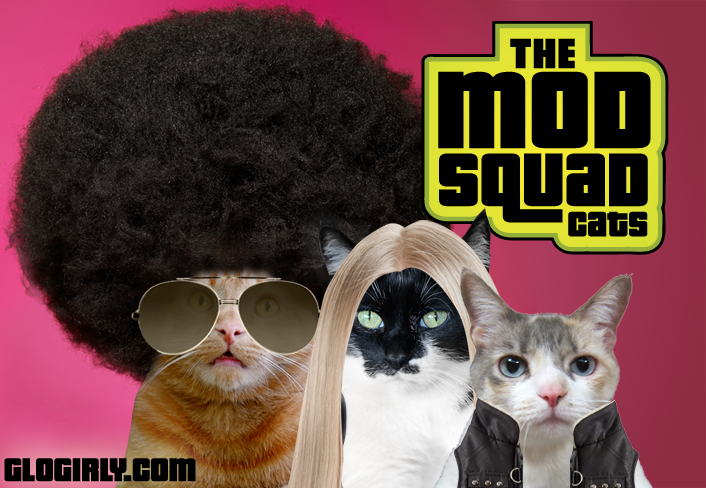 GLOGIRLY: TV Trip: The Mod Squad Cats & An Annoucement