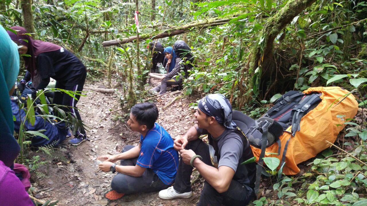 Hiking Log : Trans Tikus Makmal (Pine tree - Twin Peak - Semangkuk ...