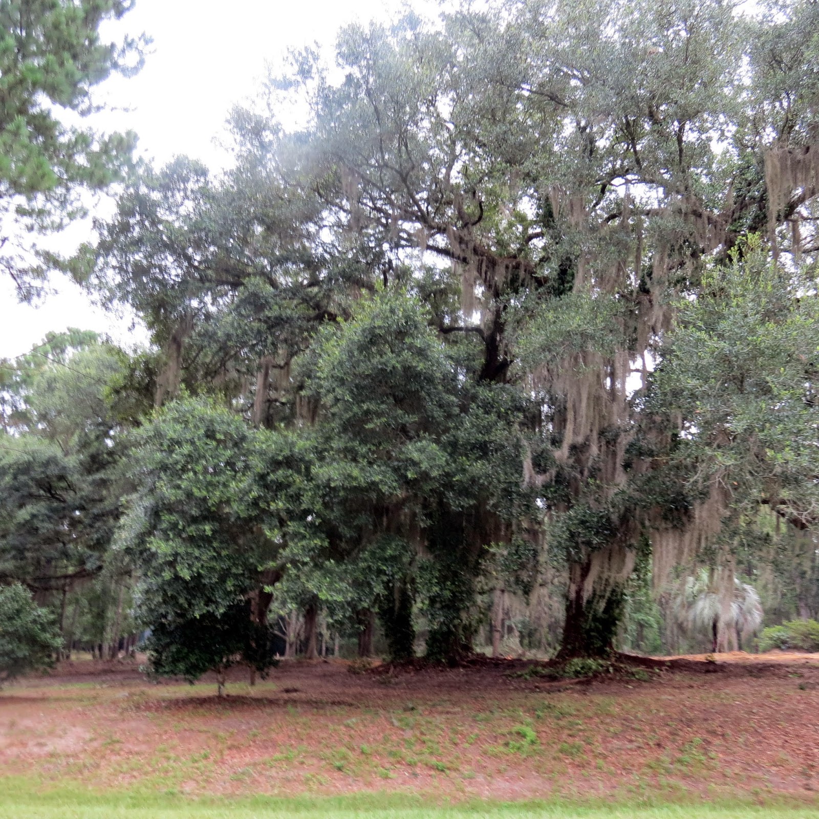 Welcome to our home: Sally's Park