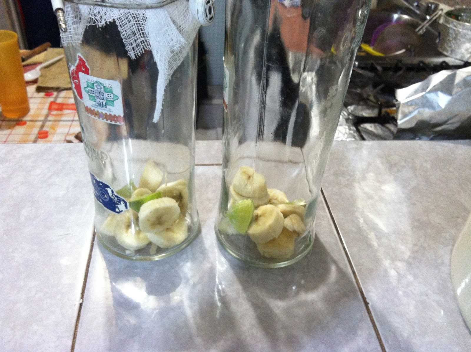 Experimento de Redi: La generación espontánea : Bienvenidos al ...