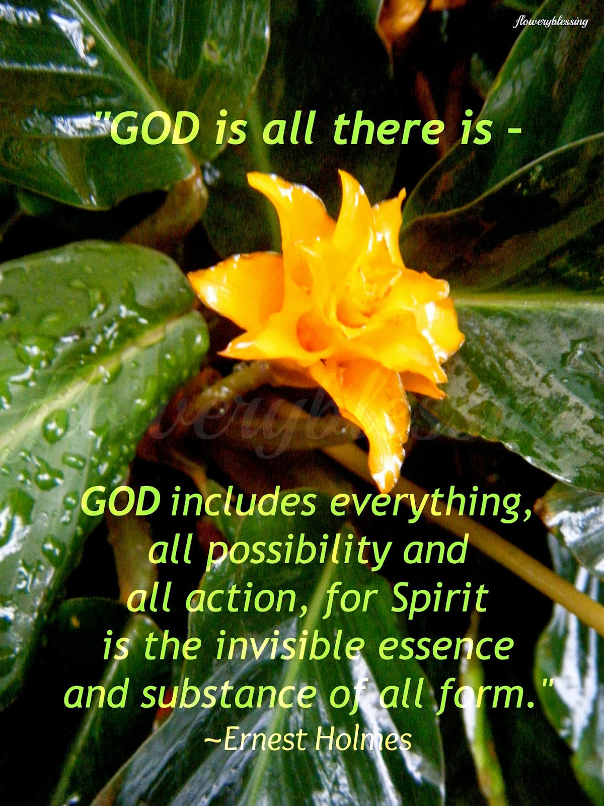 Flowery Blessing: "GOD is all there is – GOD includes everything, all ...