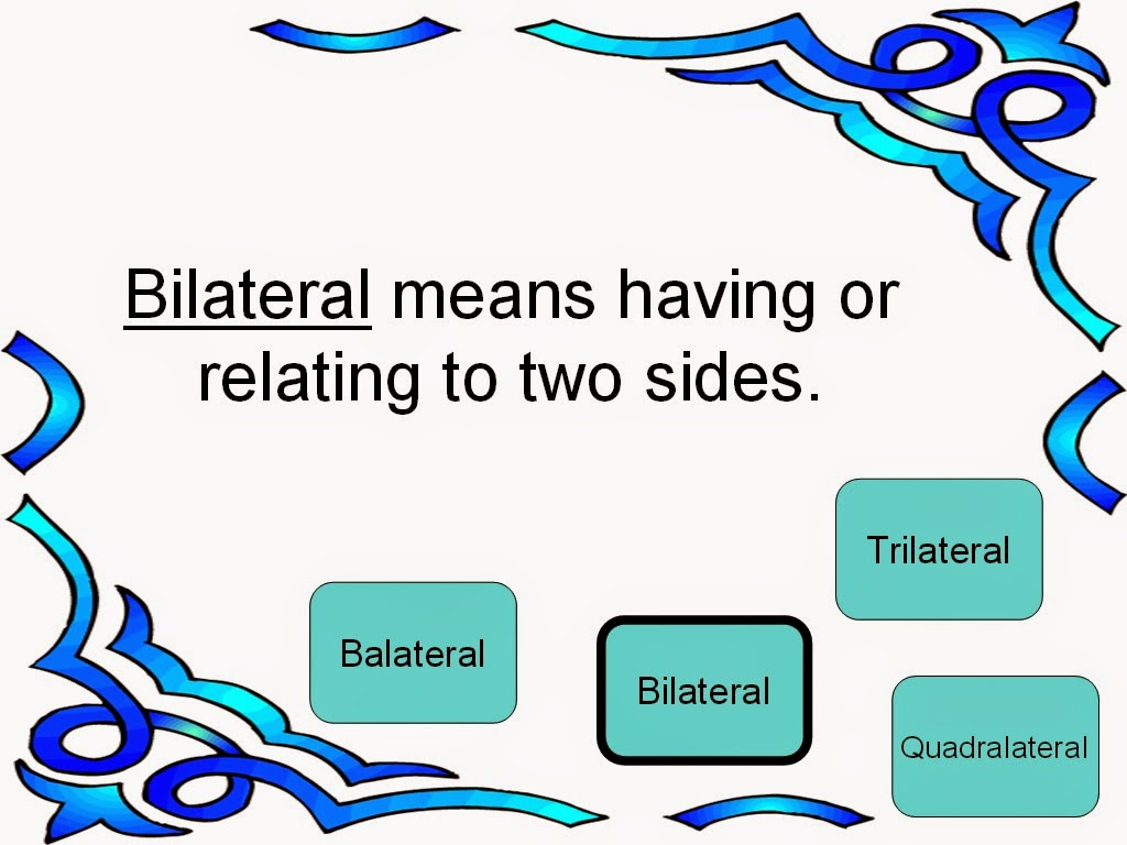 Student Survive 2 Thrive: Body Planes Practice Test – Sagittal, Frontal ...