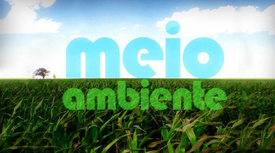 BIBOCA AMBIENTAL : PRINCIPAIS ACORDOS E TRATADOS DA ONU PARA O MEIO ...