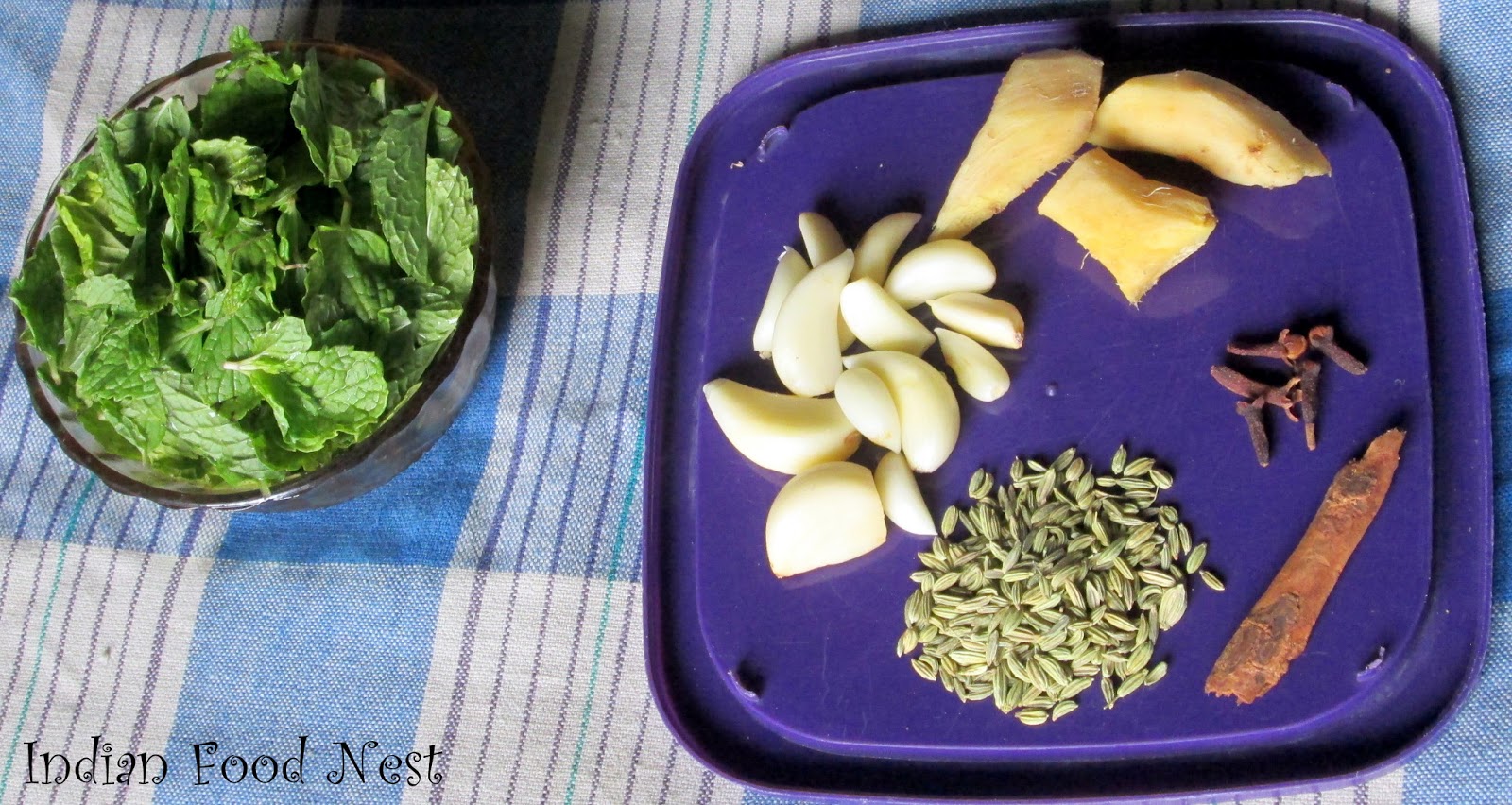 Indian Food Nest: How to make Chicken Fry with Mint Leaves / Pudhina ...